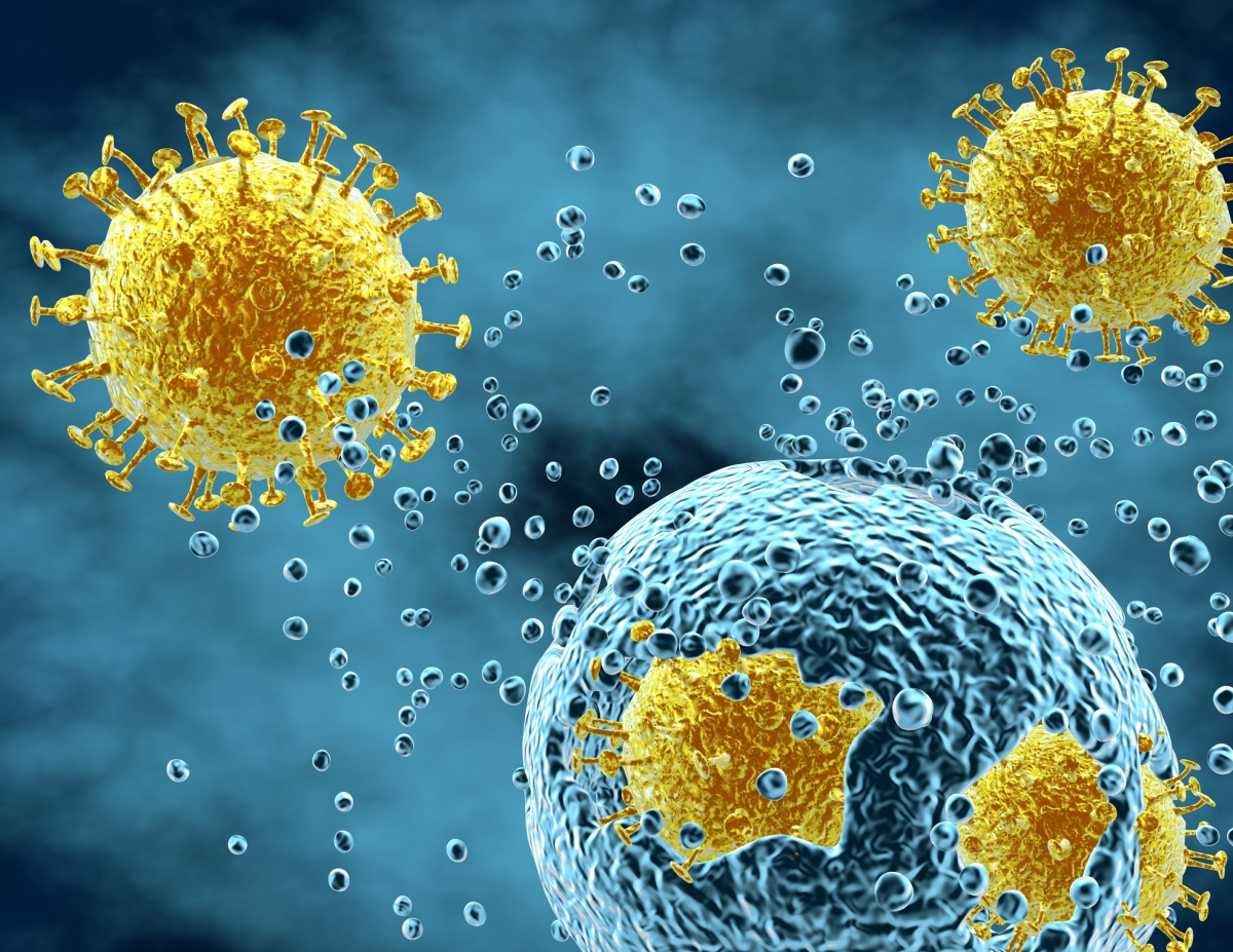 Viruses can ‘hijack’ cellular process to block immune response - McGill ... Viruses can ‘hijack’ cellular process to block immune response - McGill ...