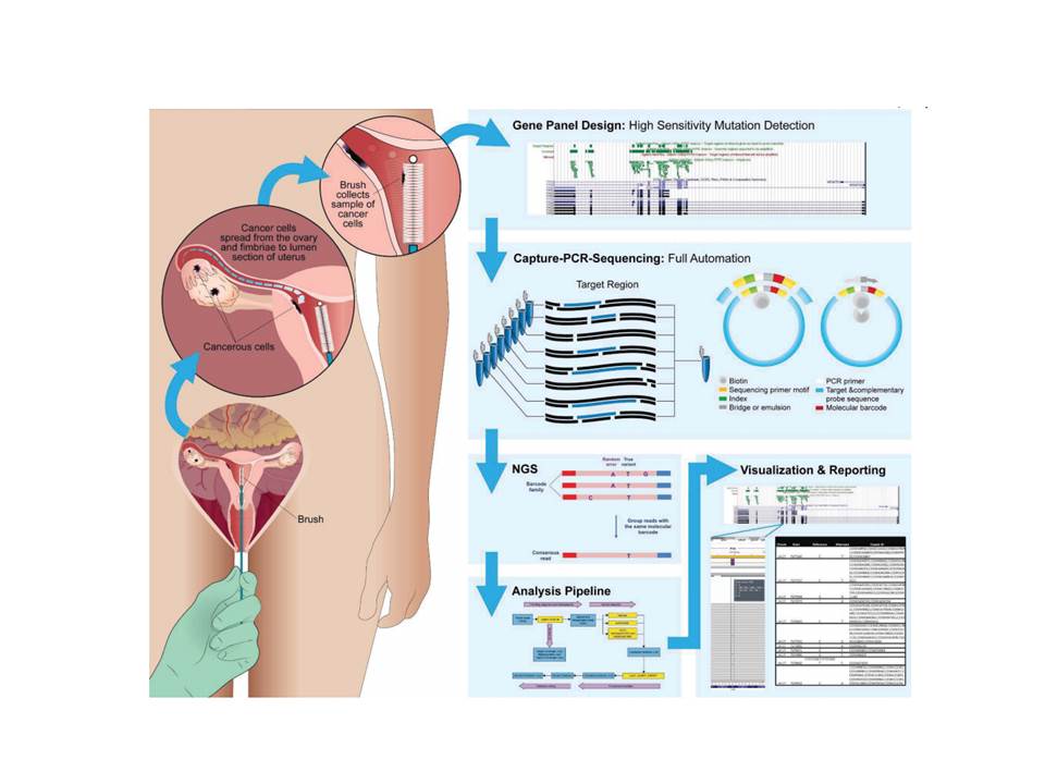 Pushing Screening Of Ovarian And Endometrial Cancers One Step Further