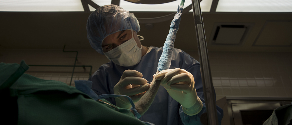 How Do Veterinarians Die? | Office for Science and Society - McGill ...