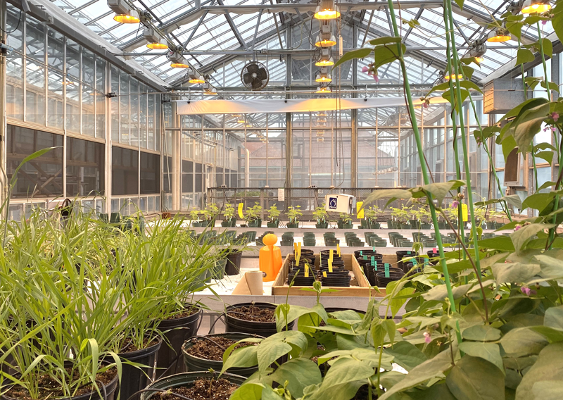 Research facilities | Plant Science - McGill University