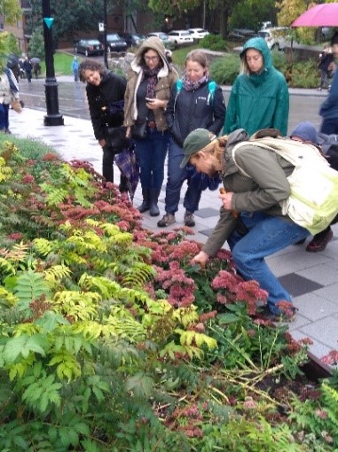 Survival Workshops: Foraging for Wild Edibles | Redpath Museum - McGill ...